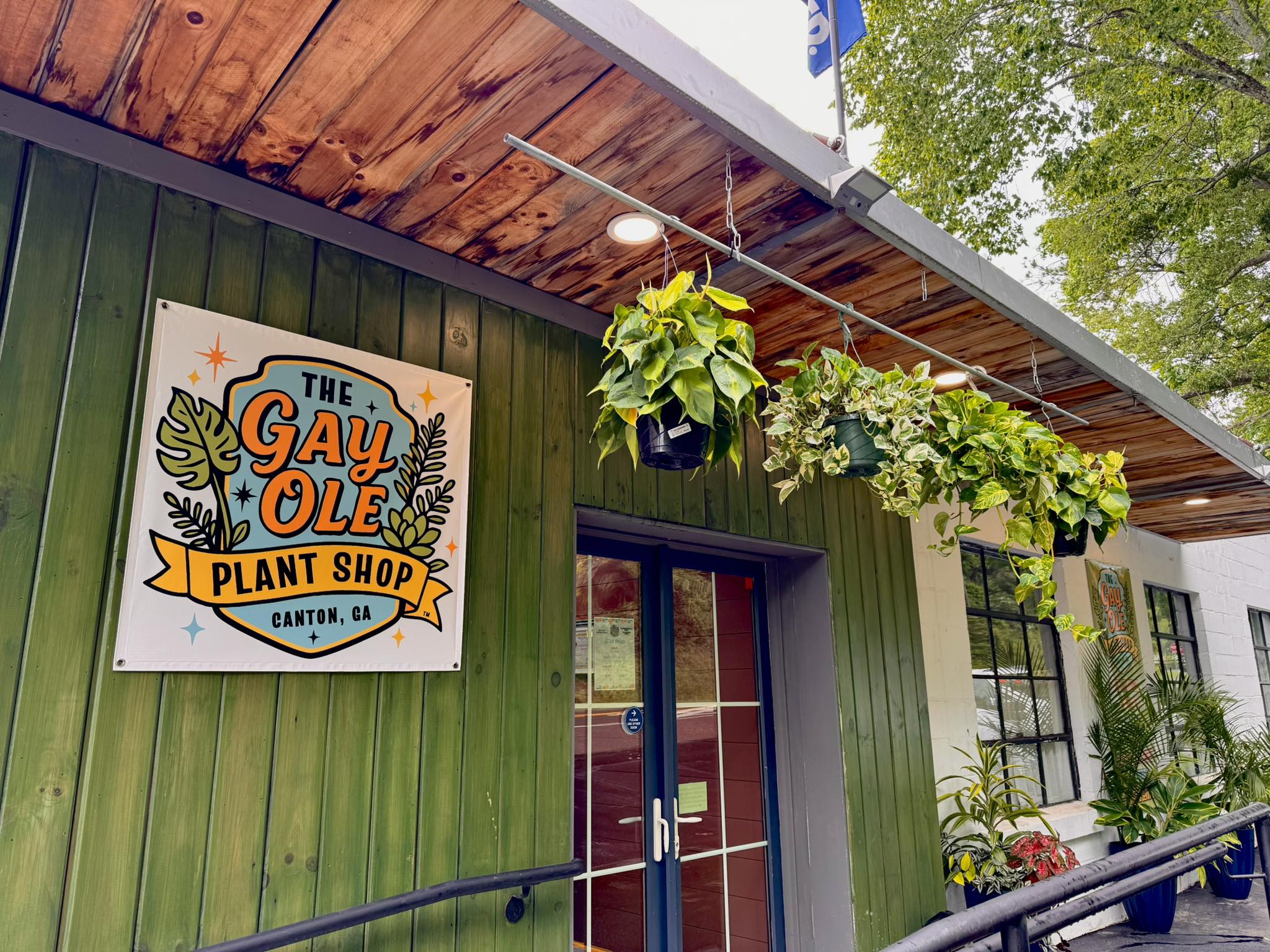 All About Plants – The Gay Ole Plant Shop